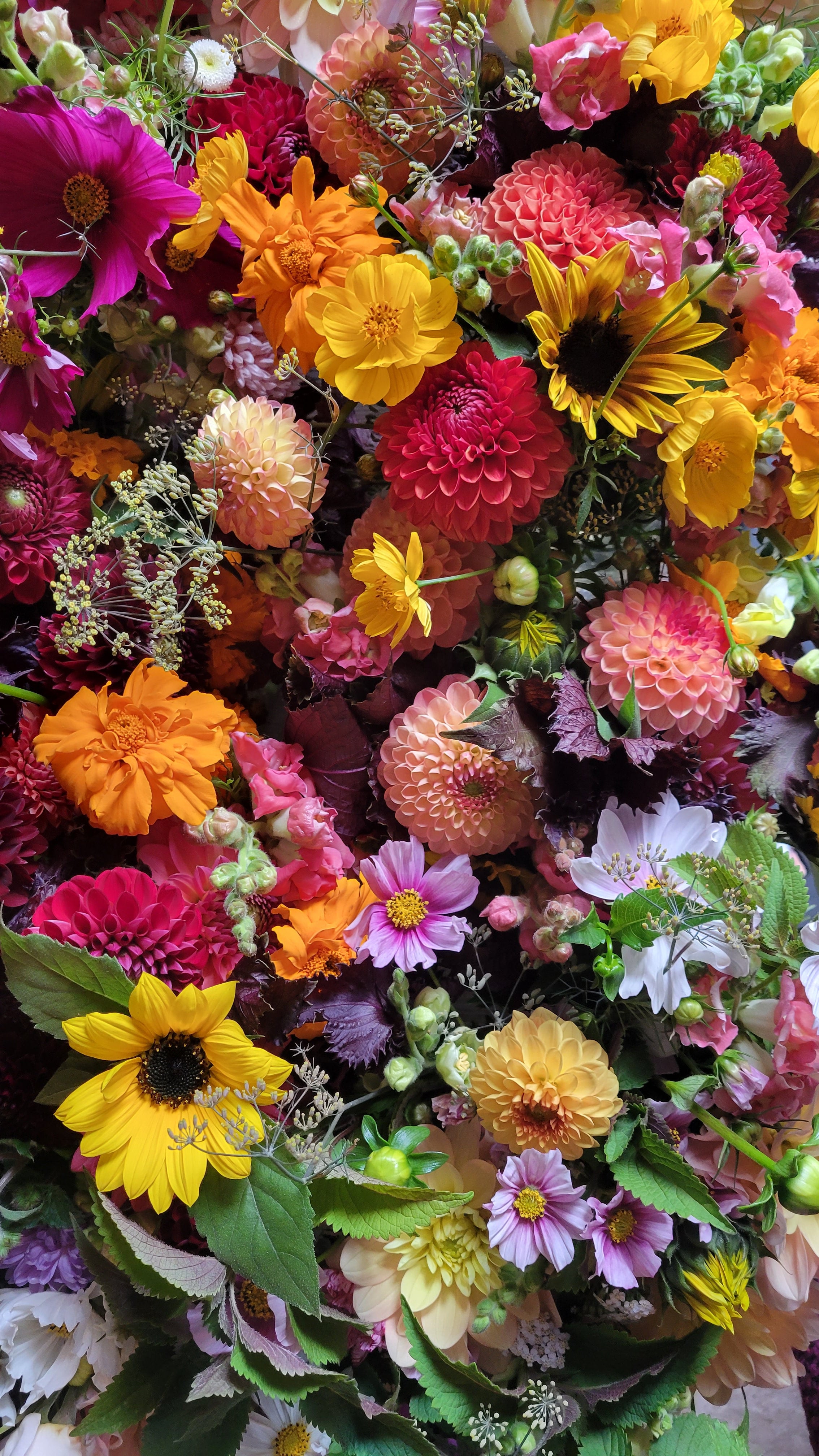 2025 4 Week Flower Share (you choose your start date) | Farm Hand Farm